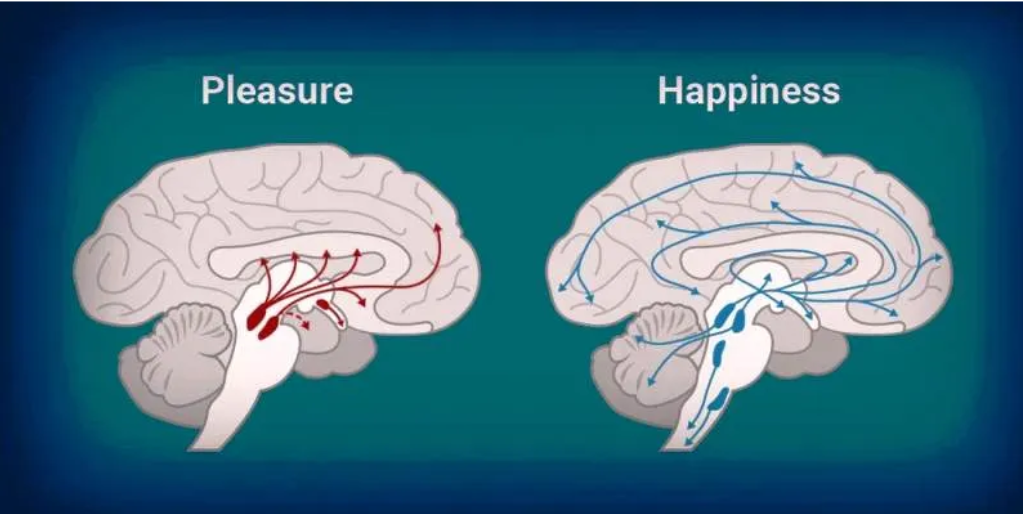 What’s the difference between pleasure and happiness? - factsbay.com